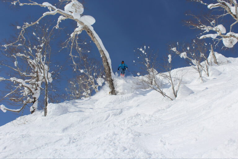 Werken als skileraar in Japan: Hugo en Wander over hun ervaring